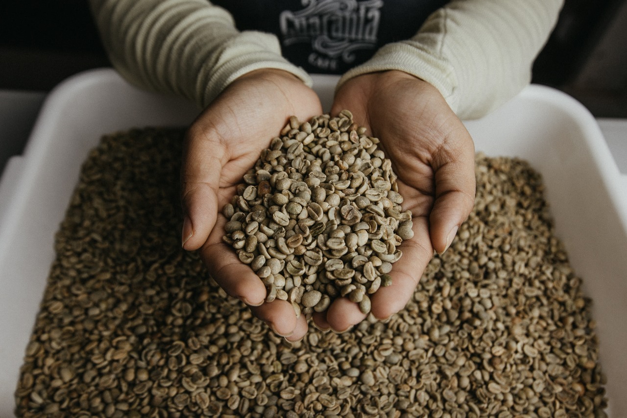 El resurgimiento del café paraguayo, de pequeño sector a mercado ...